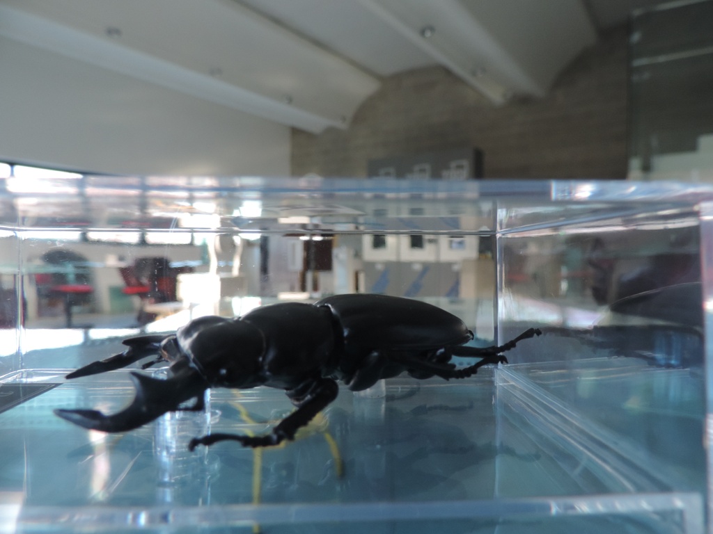 teca in vetro – vetraria Gelfi Bergamo